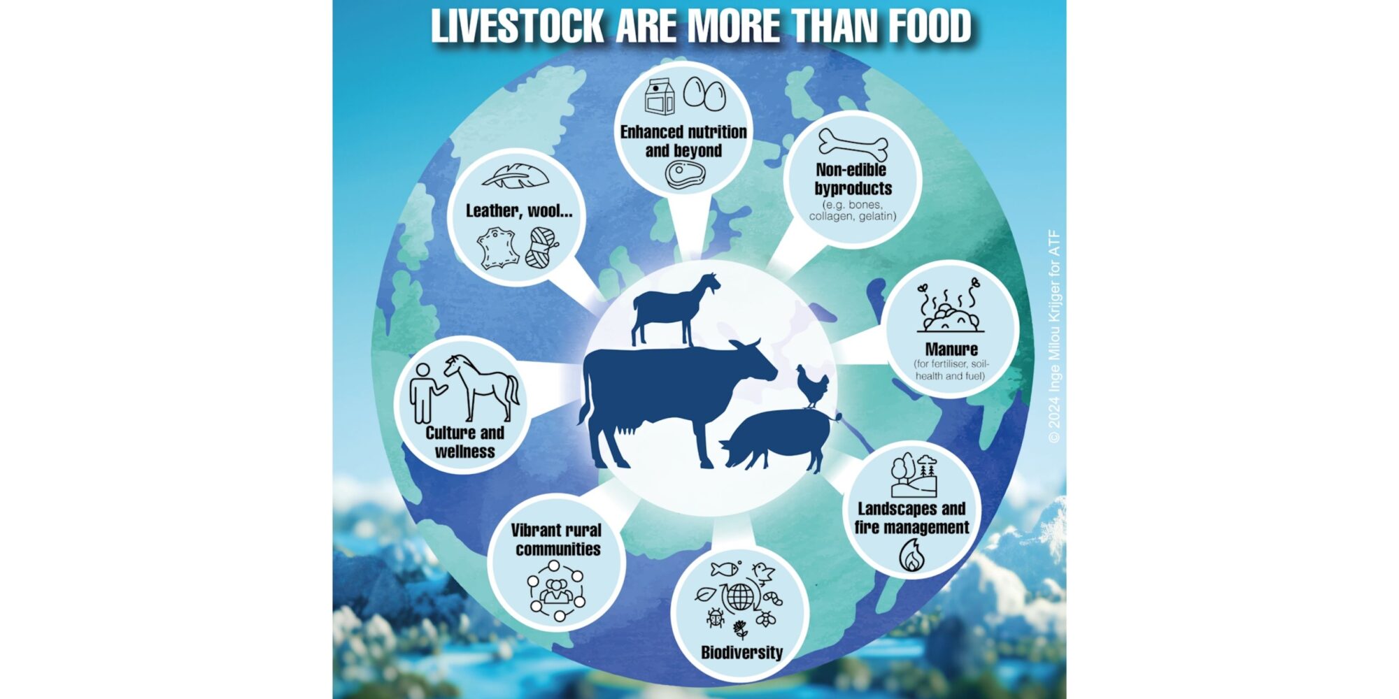 REPORT – 14th ATF Seminar - Animal Task Force